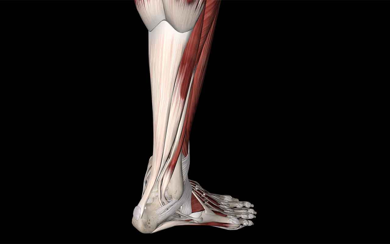 Achillespees ontsteking? Doe de juiste oefening bij elke fase